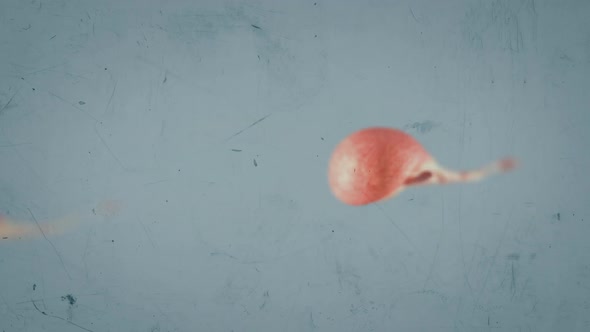 detecting or observing an unknown life form in a murky liquid, Motion ...