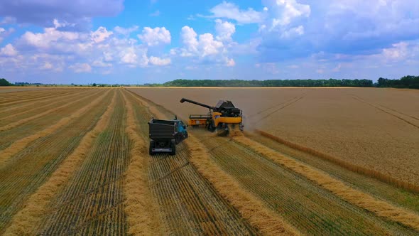 Grain harvesting equipment in the field. Harvest time. Agricultural ...