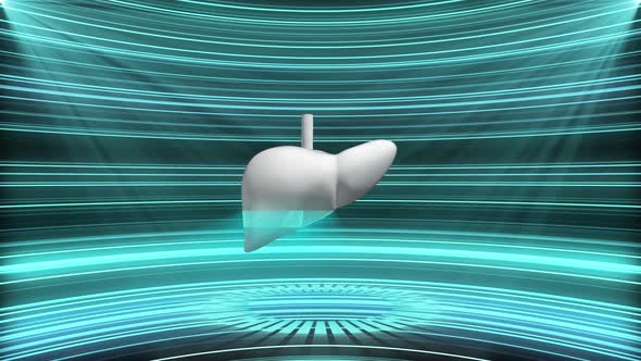 4K Sci Fi Hologram Human Liver Background Seamless Loop, Motion Graphics