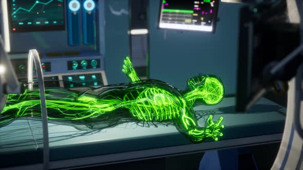 Science Anatomy Scan of Human Blood Vessels, Motion Graphics | VideoHive