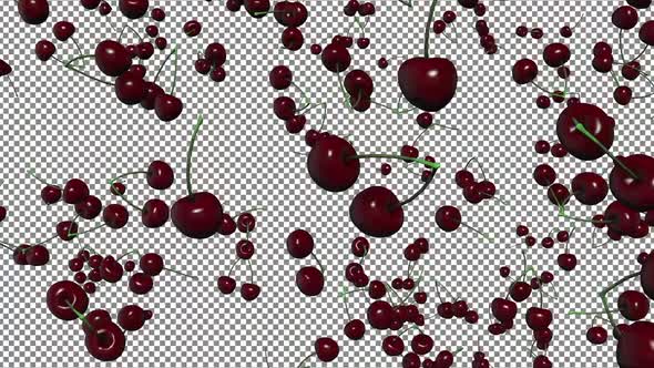 Falling Cherries, Motion Graphics | VideoHive