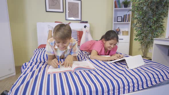 Two friends study in bed at home., Stock Footage | VideoHive