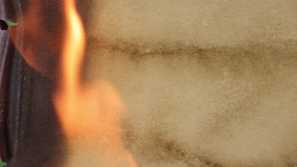 Transition Paper Burning, Stock Footage | VideoHive