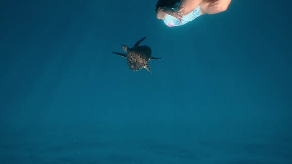 Freediver and Turtle in Natural Habitat. Slow Motion Underwater Contact ...