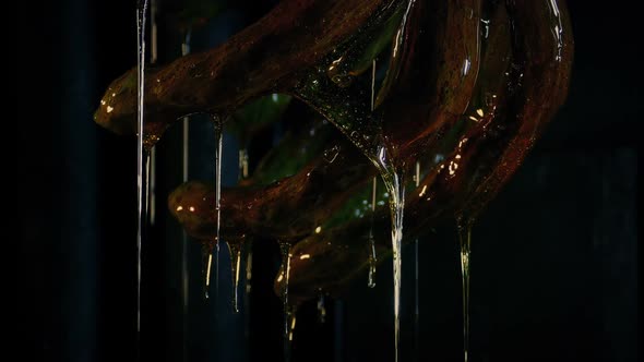 Slimy Alien Creature Hanging From Ceiling, Stock Footage | VideoHive