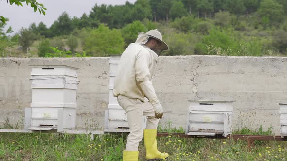 Beekeeping., Stock Footage | VideoHive