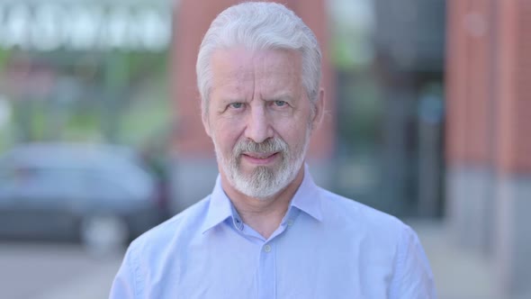 Outdoor Old Man Saying Yes with Head Sign, Stock Footage | VideoHive