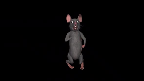 Funny Rat - Dance Loop - I, Motion Graphics | VideoHive