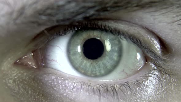 Expanded Pupil Macro Plan, Stock Footage | VideoHive