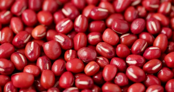 Red mung bean, Stock Footage | VideoHive