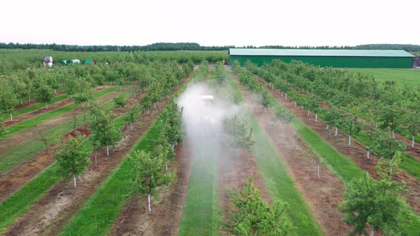 Tractor Spraying Apple Trees In Garden With Herbicides And Pesticides ...