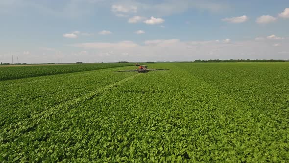 Tractors Spray Sugar Beet, Stock Footage | VideoHive