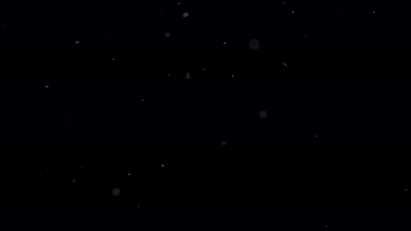 Snowballs Are Falling , Stock Footage | VideoHive