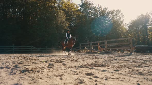 Horse and rider walk in slow motion in a sand arena during sunset ...