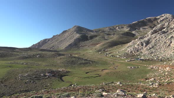 Nomadic Poor Shepherd Walks With Sheep in Plateau, Stock Footage ...