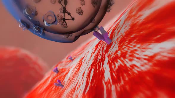 DNA and Cell 111.mov, Motion Graphics | VideoHive
