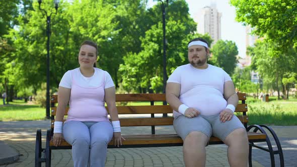 Fat Man Doing First Step in Acquaintance With Pretty Obese Woman ...