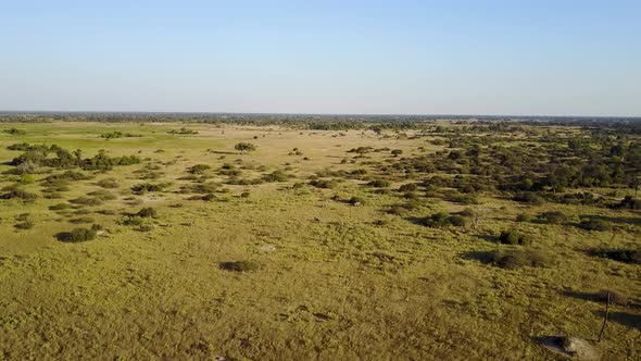 Aerial landscape of Botswana grasslands with elephants in distance ...