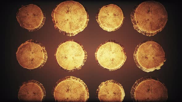 Rotating Wood Log Cross Section Digital Art Desktop Background Looped ...