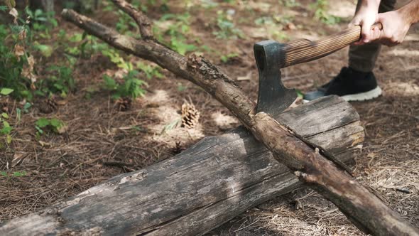 The guy is chopping wood with an axe. Woodcutter in the forest. Cutting ...