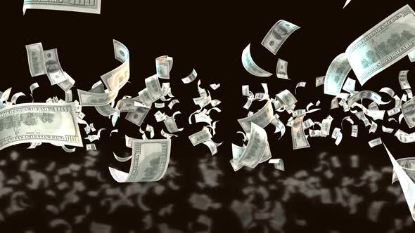 Fly Money, Motion Graphics | VideoHive