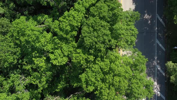 An aerial view directly over a parkway side road with dense, luscious ...