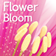 Flower Bloom Logo, After Effects Project Files | VideoHive