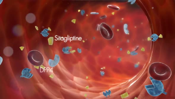 Pancreatic -Cell Electrical Activity and Insulin Secretion, Motion Graphics