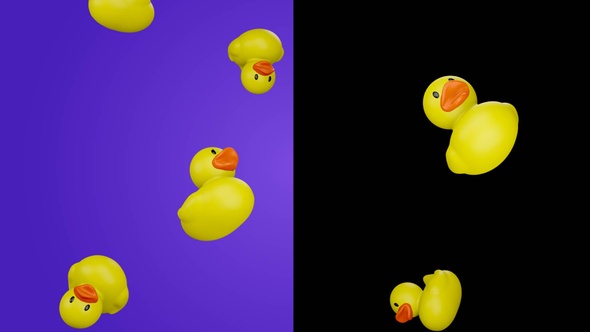 Falling Ducks, Motion Graphics | VideoHive