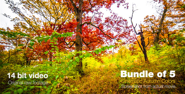 Cinematic Autumn Colors, Stock Footage | VideoHive