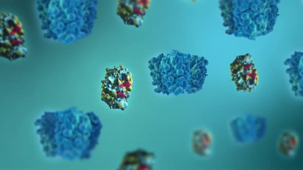 the cell is divided into four concept of mutation and evolution ...