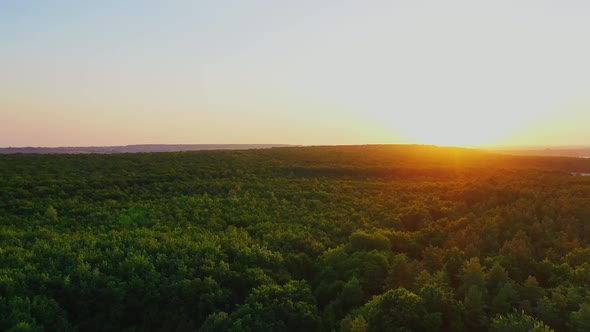 Idyllic nature at sunset. Panoramic view of beautiful green forest on ...