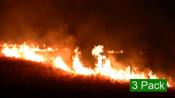 Night Fire In The Field 3 Pack, Stock Footage | VideoHive