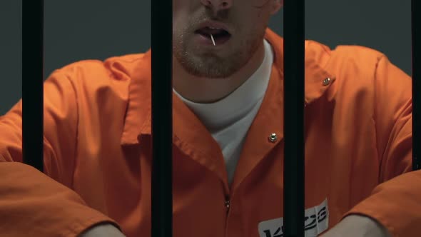 Self-Confident Criminal Chewing Toothpick Behind Prison Bars, Head of ...