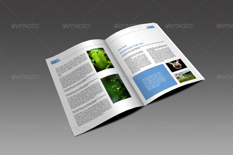 8 Pages Business Newletter, Print Templates | GraphicRiver