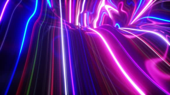 Glowing Neon Lines, Motion Graphics | VideoHive