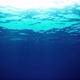 Under The Ocean, Motion Graphics | VideoHive