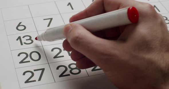 Calendar 20Th Date of the Month Crossed Out, Stock Footage | VideoHive