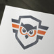 Owl Security, Logo Templates | GraphicRiver