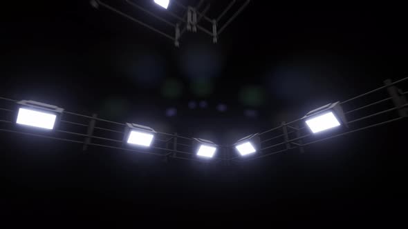 Sports Wrestling And Boxing. Sport 4K Professional Background Animation ...