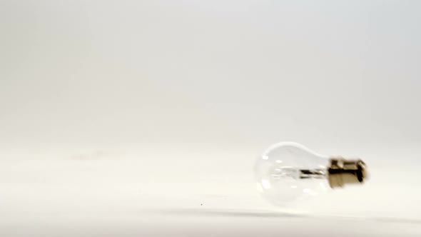 Bulb falling against white background, Stock Footage | VideoHive