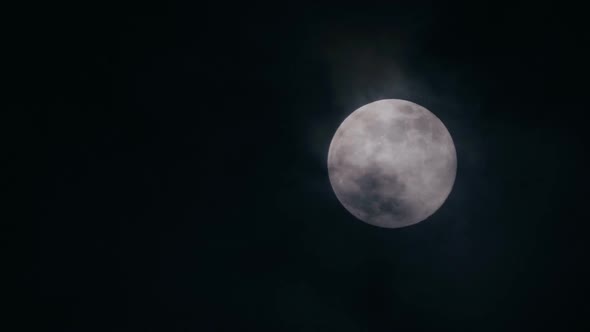 Full Moon, Stock Footage | VideoHive