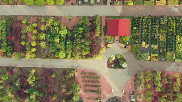Tree Nursery for Landscape Design, Stock Footage | VideoHive