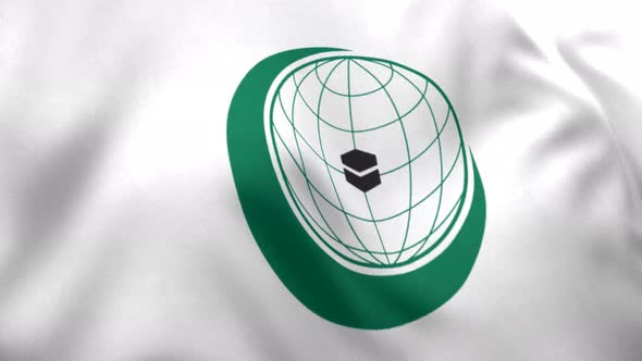 OIC Flag / Organisation of Islamic Cooperation Flag (Logo) - 4K, Motion ...
