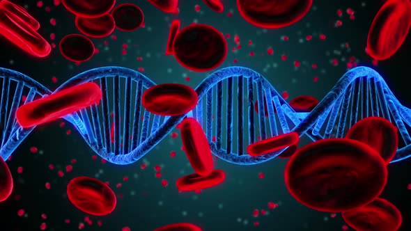 Dna And Blood Cell 02 Hd , Motion Graphics | VideoHive