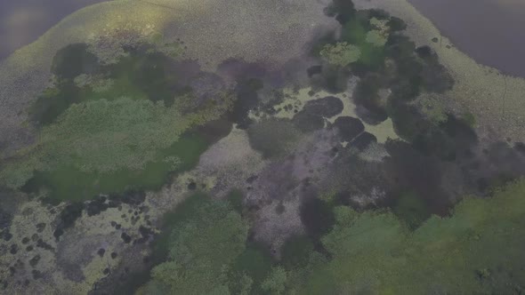Weedy Lake from Above, Stock Footage | VideoHive