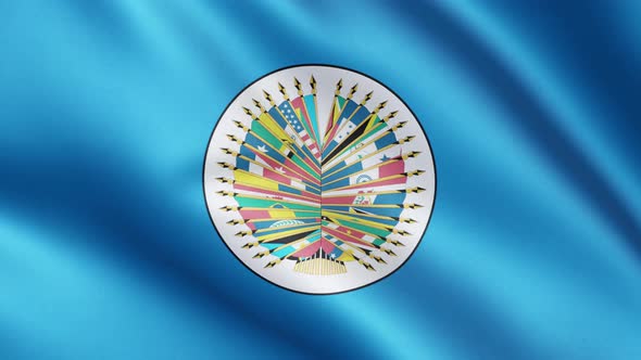 Flag of OAS | UHD | 60fps, Motion Graphics | VideoHive