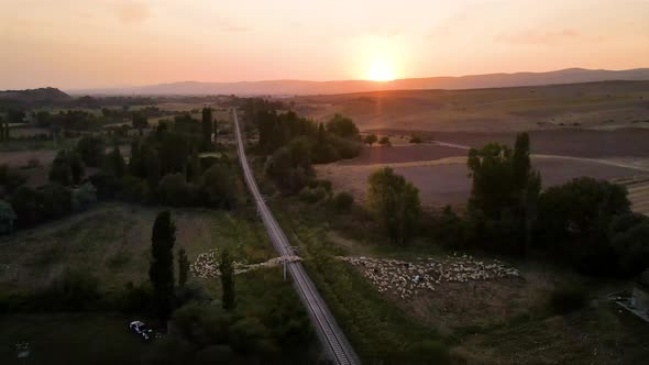 Sheep Crossing the Railroad, Stock Footage | VideoHive
