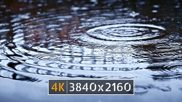Rain, Stock Footage | VideoHive