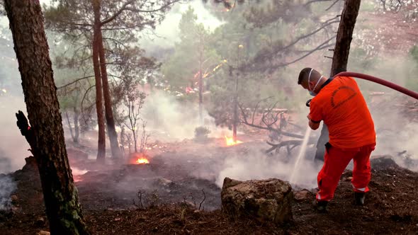 Fighting Forest Fires, Stock Footage | VideoHive